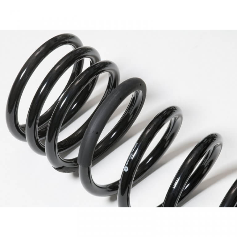 Rear Coil Springs 2008-2019 Toyota Land Cruiser 200 Series by ARB, OME